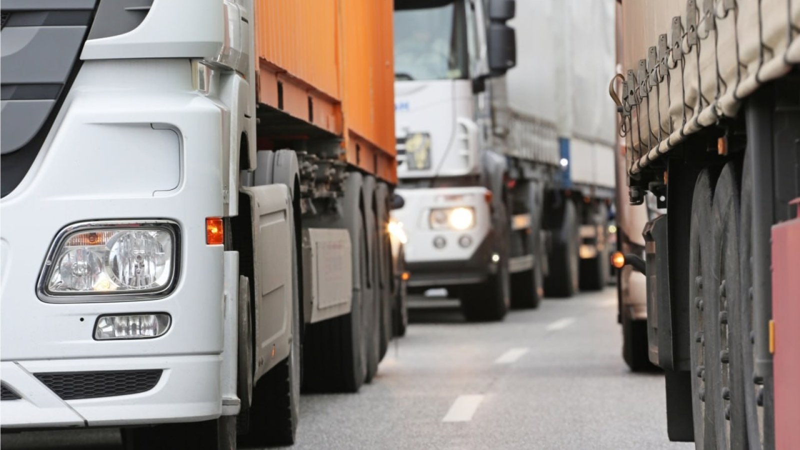 Від системи «Шлях відключили 13 перевізників — порушували правила перетину кордону — Finance Ua